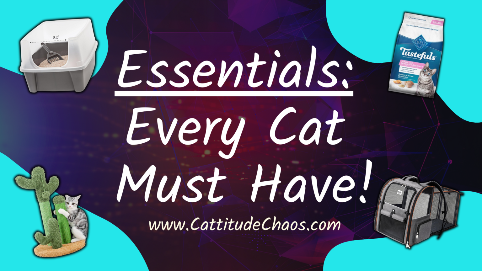 Essentials: Every Cat Must Have! - Cattitude Chaos